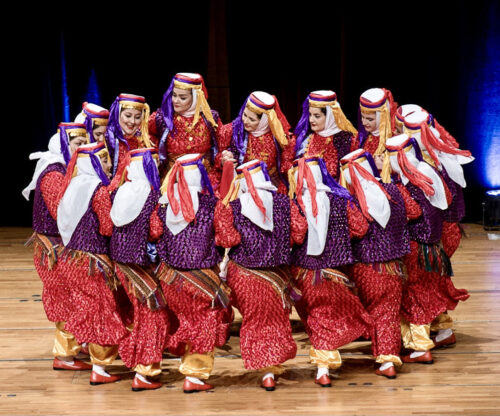 Sahi Neden Halay? – Lapsus Dergi